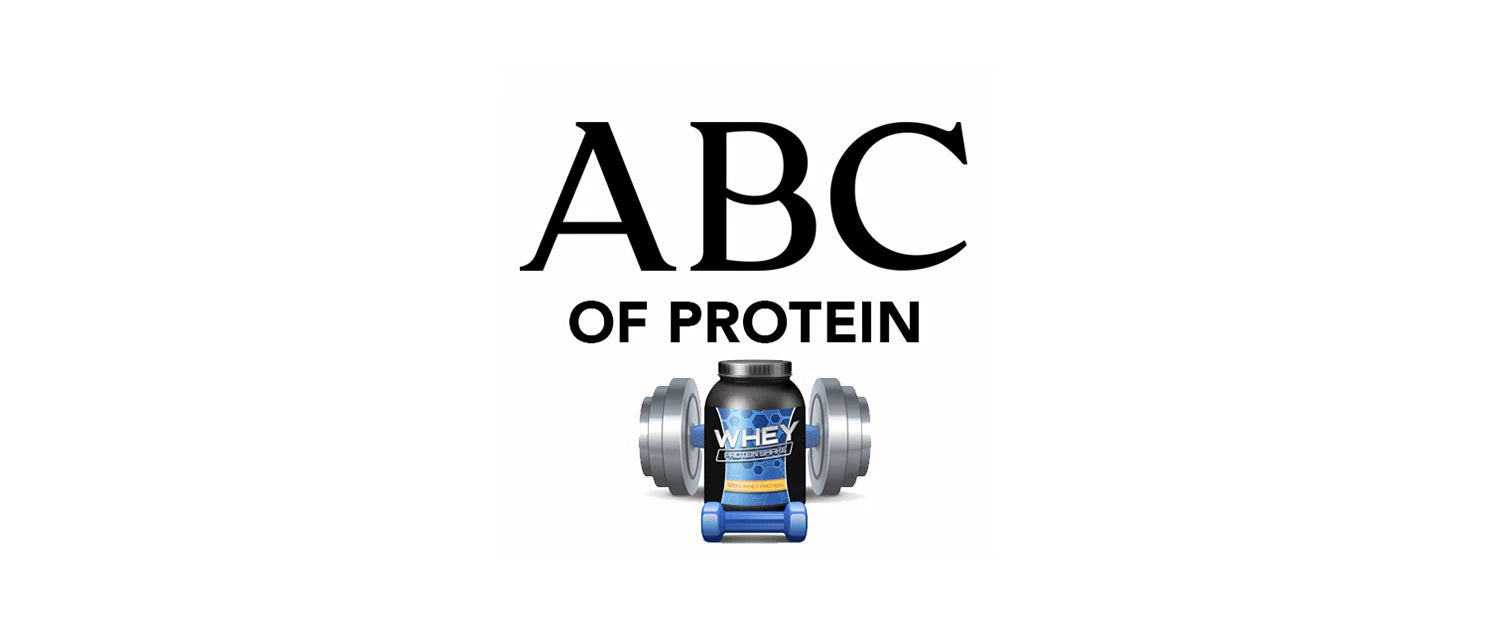 THE ABC’S OF PROTEIN – Buildyourgoals